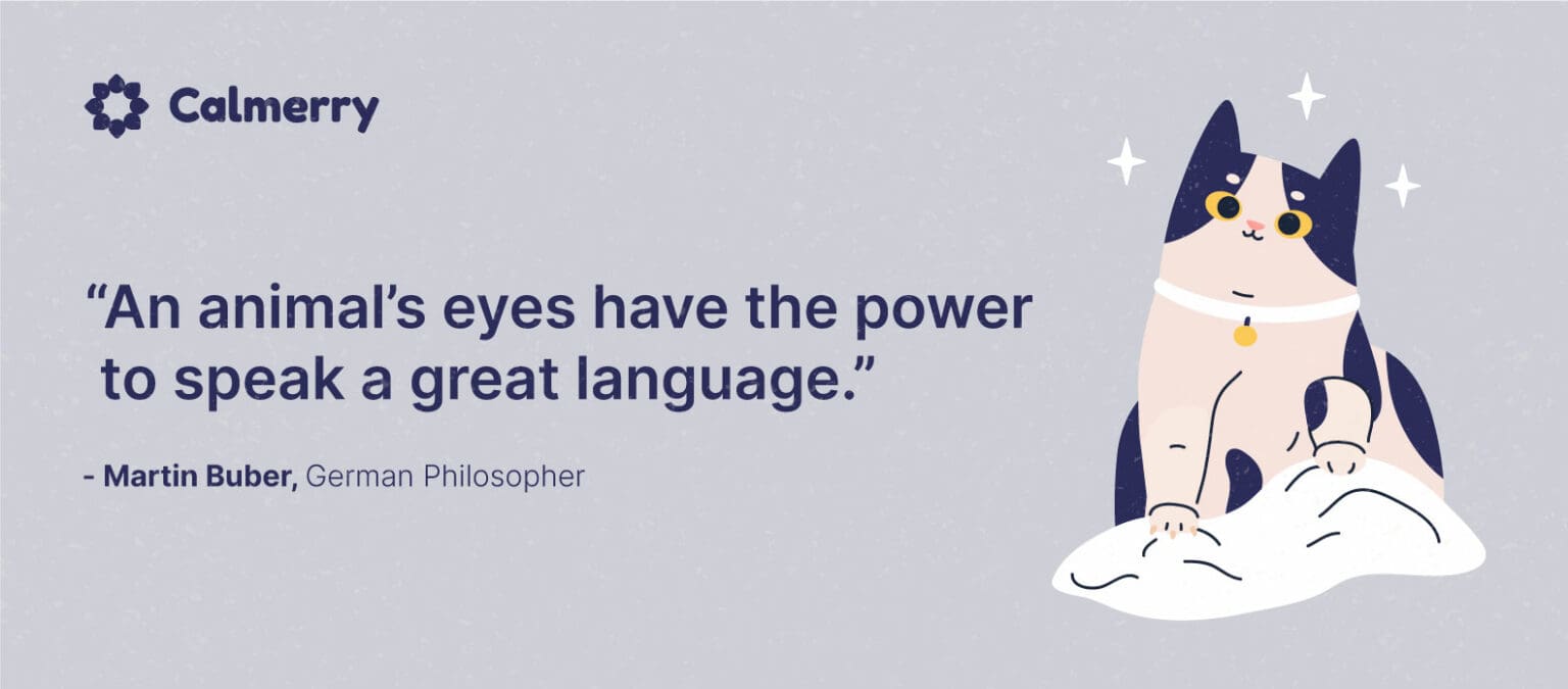 Why Do Many People Love Their Pets So Much?