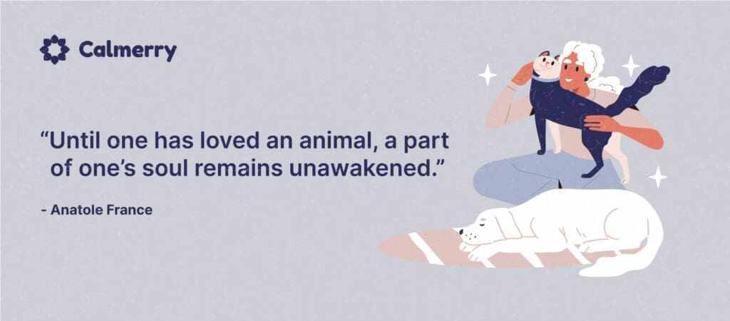 Why Do Many People Love Their Pets So Much?