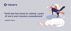 Why Do Many People Love Their Pets So Much?