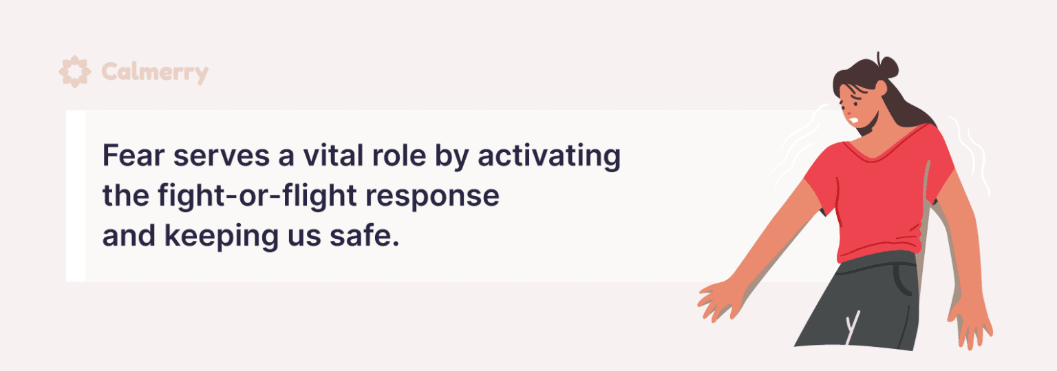 6 Types of Basic Emotions and Their Effect on Our Behavior